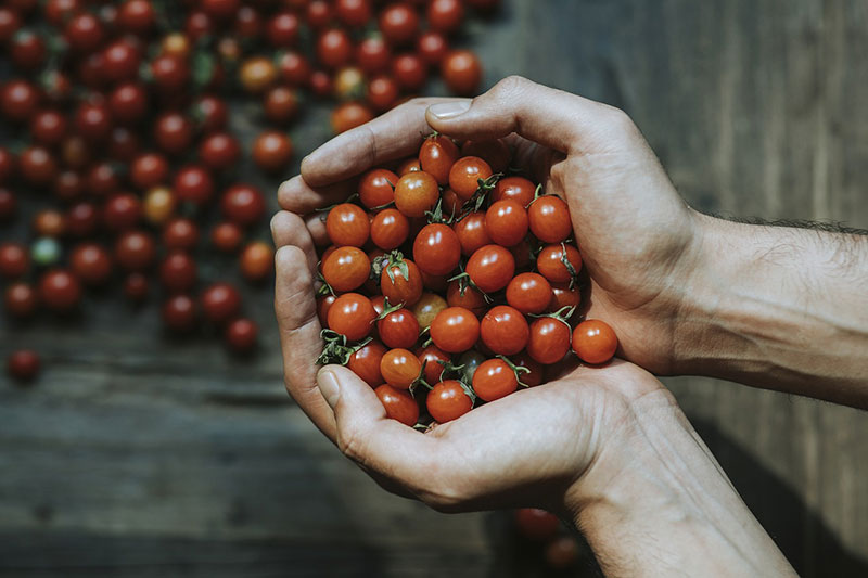 Best 3 York County Restaurants to Enjoy Farm-to-Table Fare